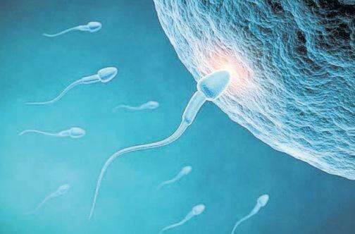 Hostile cervical mucus - All Woman