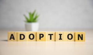 Adoption without dad’s consent? - All Woman