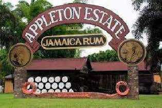 Armed assailants rob Appleton Estate - Jamaica Observer