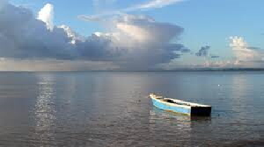 Body of missing fisherman recovered off St Elizabeth coast - Jamaica ...