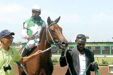 Big Diva for Sweet Ruckus Trophy - Jamaica Observer