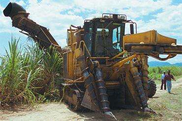 Seprod-led sugar to net loss in first year - Jamaica Observer
