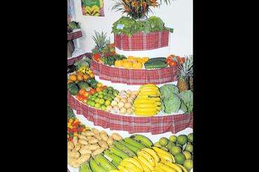 Growing the Jamaican economy: Agriculture - Jamaica Observer