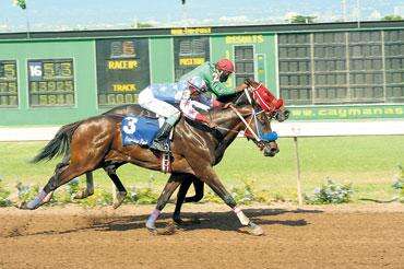 Niphal looks set to shine on ladies day - Jamaica Observer