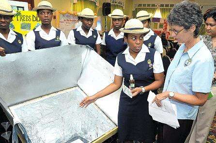 Environment stewards awarded - Jamaica Observer