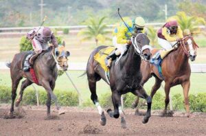 Smokin Man captures George Hosang Trophy - Jamaica Observer