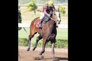 Smart-looking field for George Hosang Trophy - Jamaica Observer