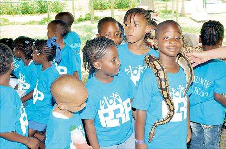 EU treats basic school children - Jamaica Observer