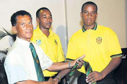 Cricket to the rescue! - Jamaica Observer