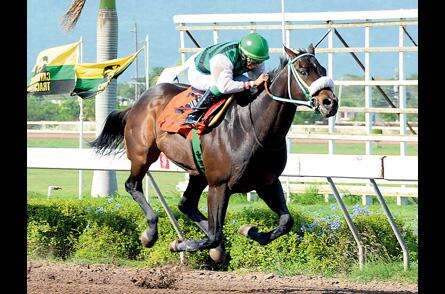 Rio Cobre finally flows - Jamaica Observer