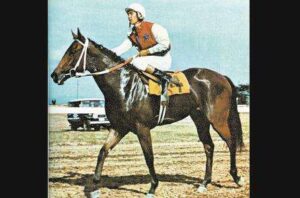 HOT LINE: One of the best fillies to race in Jamaica - Jamaica Observer