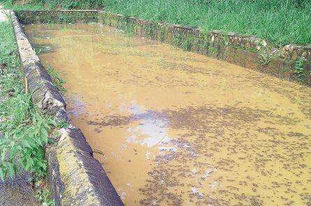 MP Paul Buchanan, Mount Salus calling - Jamaica Observer