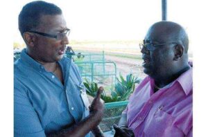 Bumper day for champion owner - Jamaica Observer