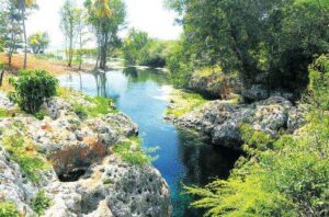 Paradise hidden ... A peek at the south coast - Jamaica Observer