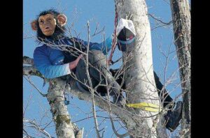 PHOTO: Monkey business in SOCHI - Jamaica Observer