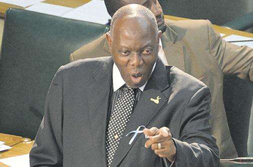 Great value in green spaces - Jamaica Observer