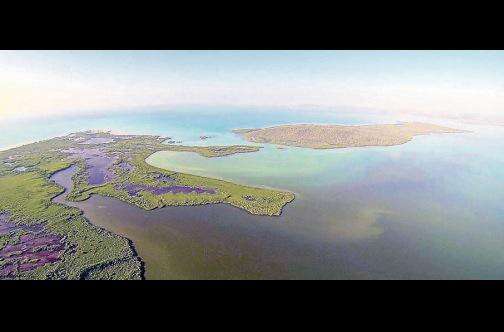 Portland Bight is 15! - Jamaica Observer