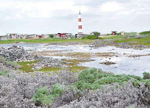 Pedro Cays census to guide sustainable management plan - Jamaica Observer