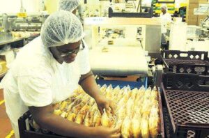 Honey Bun consolidates properties with latest acquisition - Jamaica ...