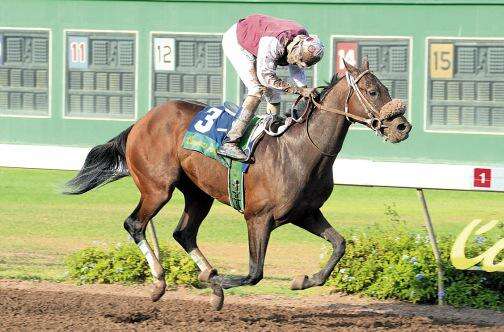 Relampago puts cap on intriguing Classic season - Jamaica Observer