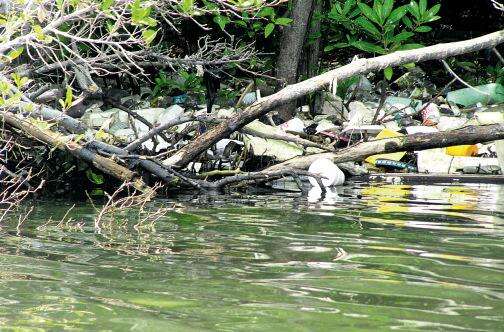 'Refuse' Cay - Jamaica Observer