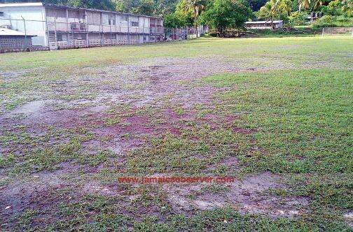 Waterlogged field prevents play between C'Down, Papine - Jamaica Observer