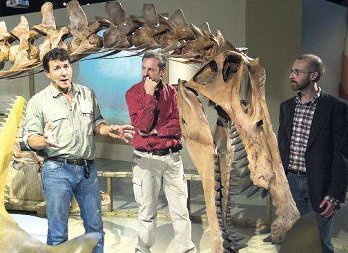 Shark-munching Spinosaurus was first-known water dino: study - Jamaica ...