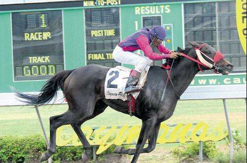 Stop A Gap wins Cecil Charlton Mem Trophy - Jamaica Observer