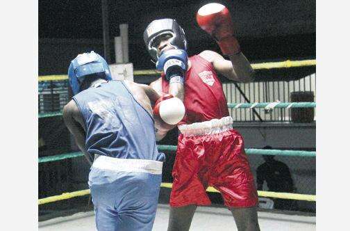 St Thomas boxers rule the ring at National Championship - Jamaica Observer