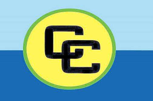 They lie, the CSME union cannot help us - Jamaica Observer