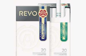 Reynolds launching heat-not-burn cigarette - Jamaica Observer