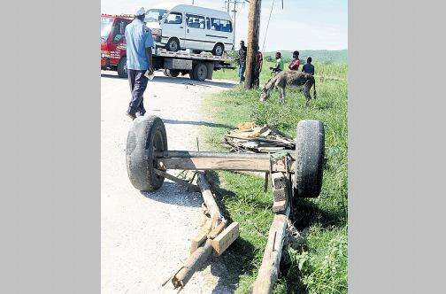 Donkey cart operators angry, say they need justice - Jamaica Observer