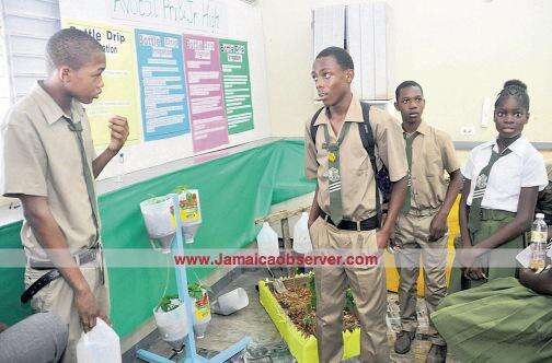 Port Maria Primary, Port Antonio High cop science awards - Jamaica Observer