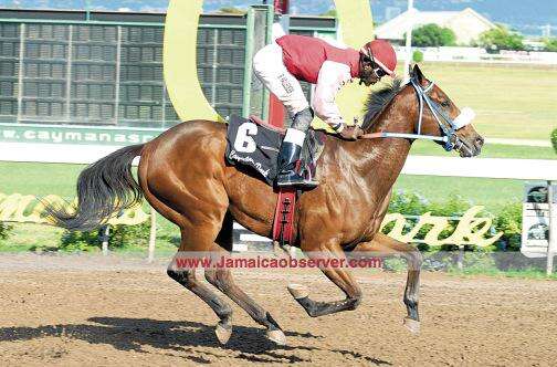 The Complete Racing Guide - Jamaica Observer