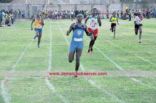 STETHS, Edwin Allen dominate Grace track and field meet - Jamaica Observer