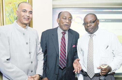 Online Art Portal Osmosis Caribbean up and running - Jamaica Observer