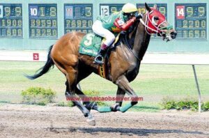 Mellisa Ward lights up the Park - Jamaica Observer