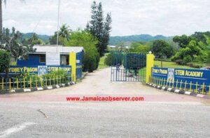 Aiming for Excellence - Jamaica Observer