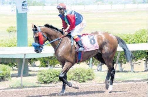 The story behind Superluminal, the 'what lef' - Jamaica Observer