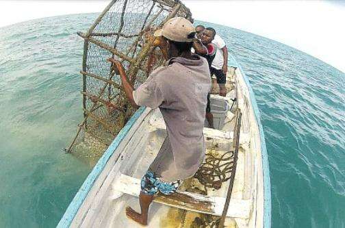 Human 'super-predators' should change hunting, fishing habits - Jamaica ...