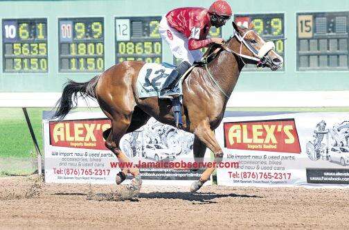 Girly Girly Links announces her presence in style - Jamaica Observer