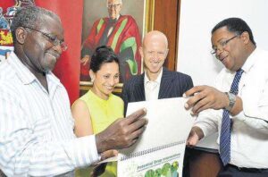 Safe use of medicinal plants, prescription medicines - Jamaica Observer