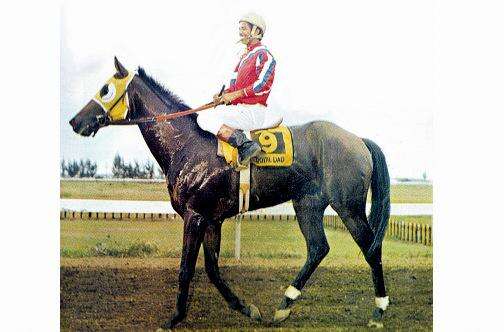 Winston Griffiths - simply the best - Jamaica Observer