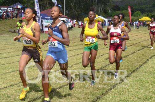 Fine performances at JAAA/Puma Development Meet - Jamaica Observer