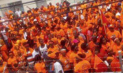 Silvera: I will not count my chickens before they are hatched - Jamaica ...