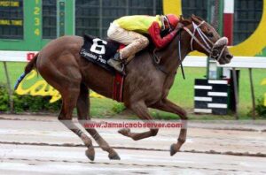 Dane Nelson joins exclusive 900 Club - Jamaica Observer