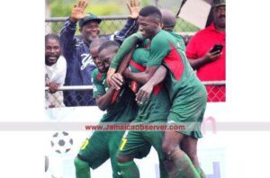 PHOTO: Lion pride - Jamaica Observer
