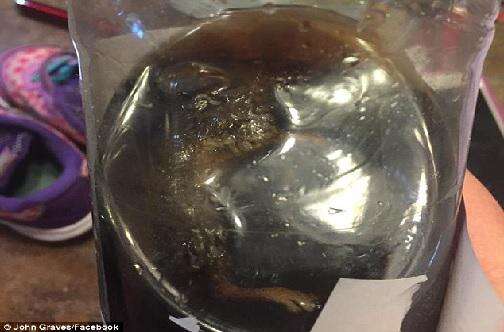 Three-year-old finds rat in soda - Jamaica Observer
