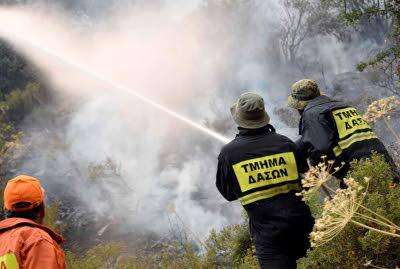 Five nations deploy aircraft to battle deadly Cyprus fires - Jamaica ...