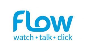 FLOW Grenada to send home workers - Jamaica Observer